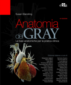 Anatomia del GRAY - LibriScientifici.com