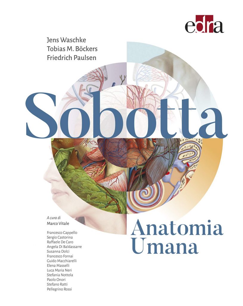 Sobotta - Anatomia umana - LibriScientifici.com
